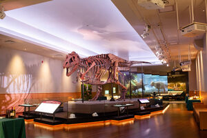 Field Museum - Reviews. Quote. Booking. | eventplanner.net