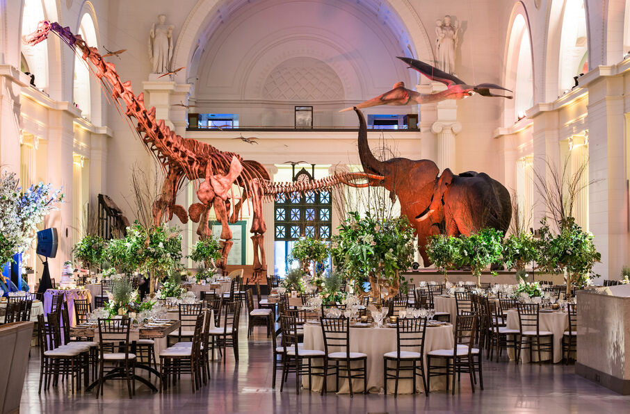 Field Museum - Reviews. Quote. Booking. | eventplanner.net