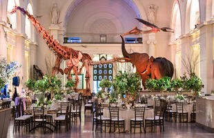 Field Museum - Reviews. Quote. Booking. | eventplanner.net