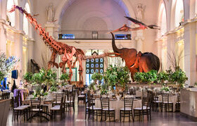 Field Museum - Reviews. Quote. Booking. | eventplanner.net